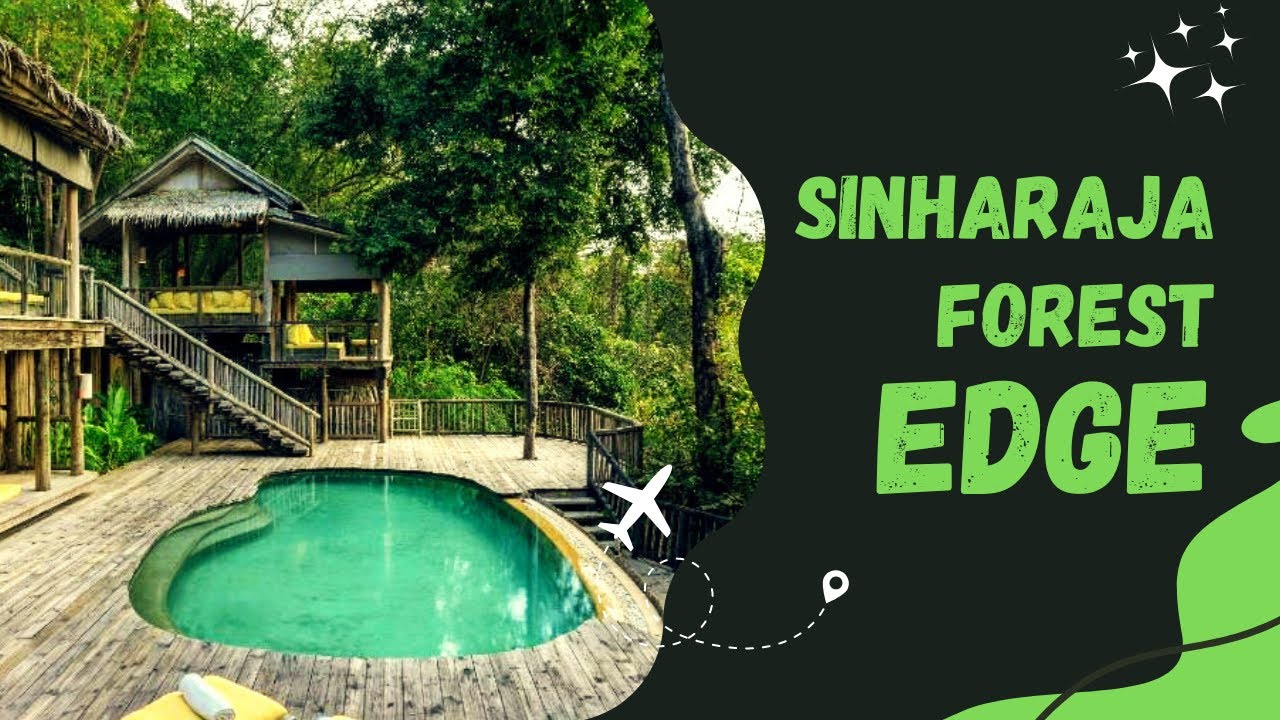 Sinharaja forest edge | Cinematic video - YouTube