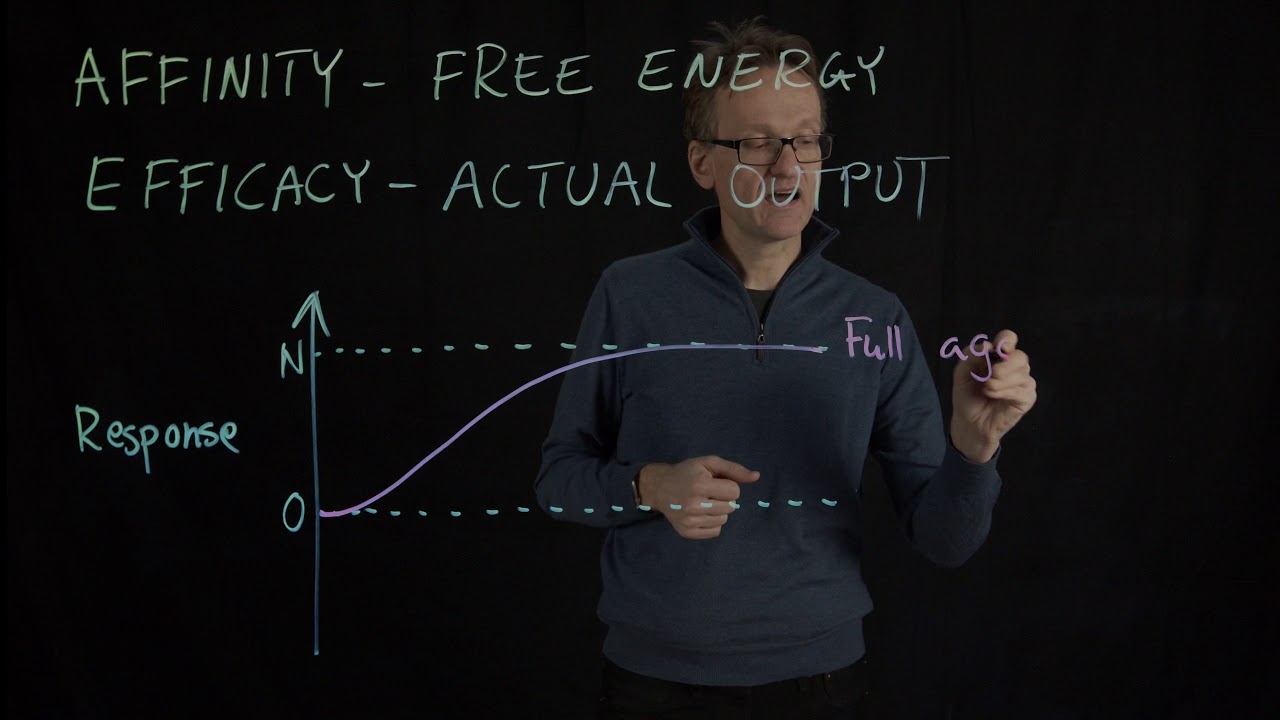 Lecture 12, concept 06: Affinity vs. efficacy & agonists vs ...