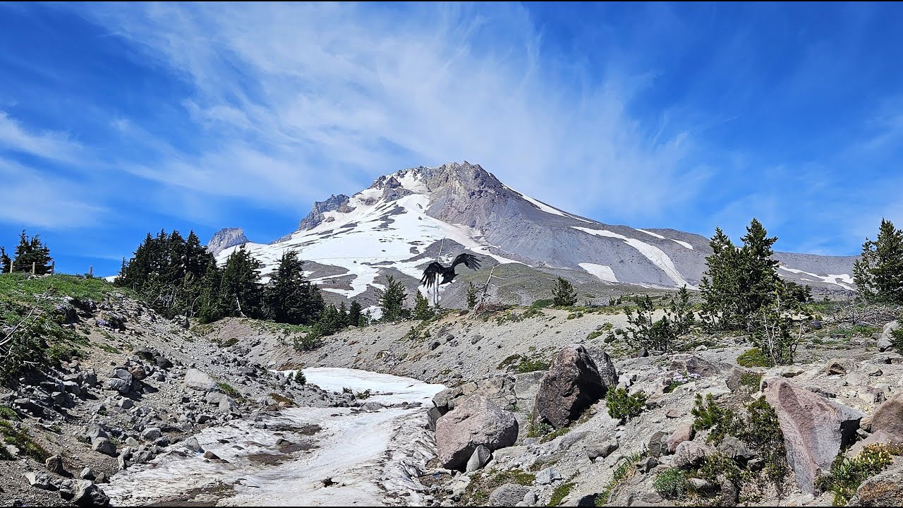 Mount Hood Hike - Zigzag Canyon Overlook via Pacific Crest Trail ...