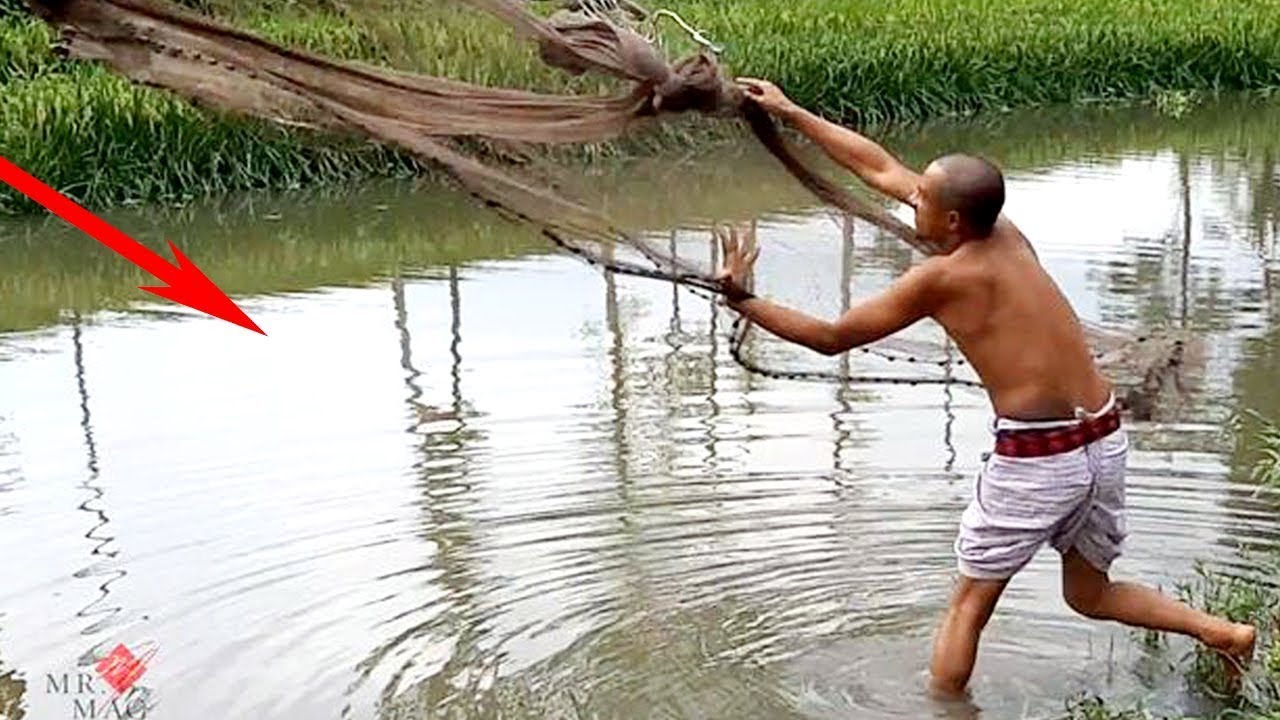 Natural beautiful net fishing || Carp fish hunting with cast net in the village canal ! # ...
