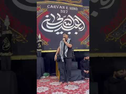 Taqi Nowganvi | Karwane Hind Pole 327 | Najaf To Karbala Iraq 2026 | Arbaeen Walk 2026