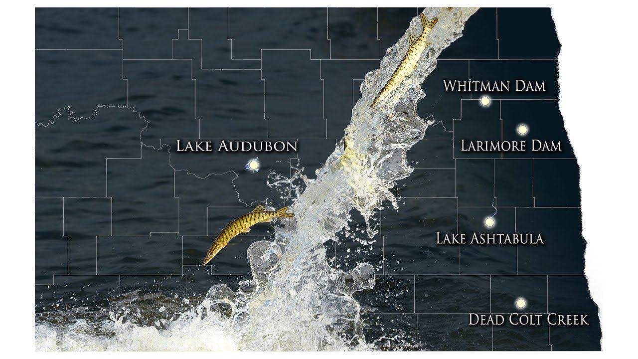 Muskie Stocking - NDGNF - YouTube