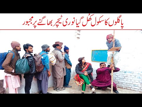 Wada Number Daar Noori Teacher Bhagny Pr Majbor Kilro Bhola khushia Kirli New Funny Video | You Tv