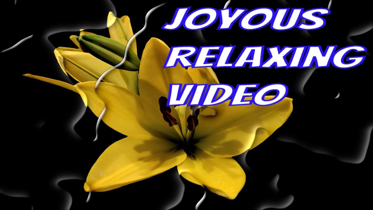 UNFORGETABLE MUSIC FOR YOUR SOUL! НЕЗАБЫВАЕМАЯ МУЗЫКА ДЛЯ ДУШИ! - YouTube