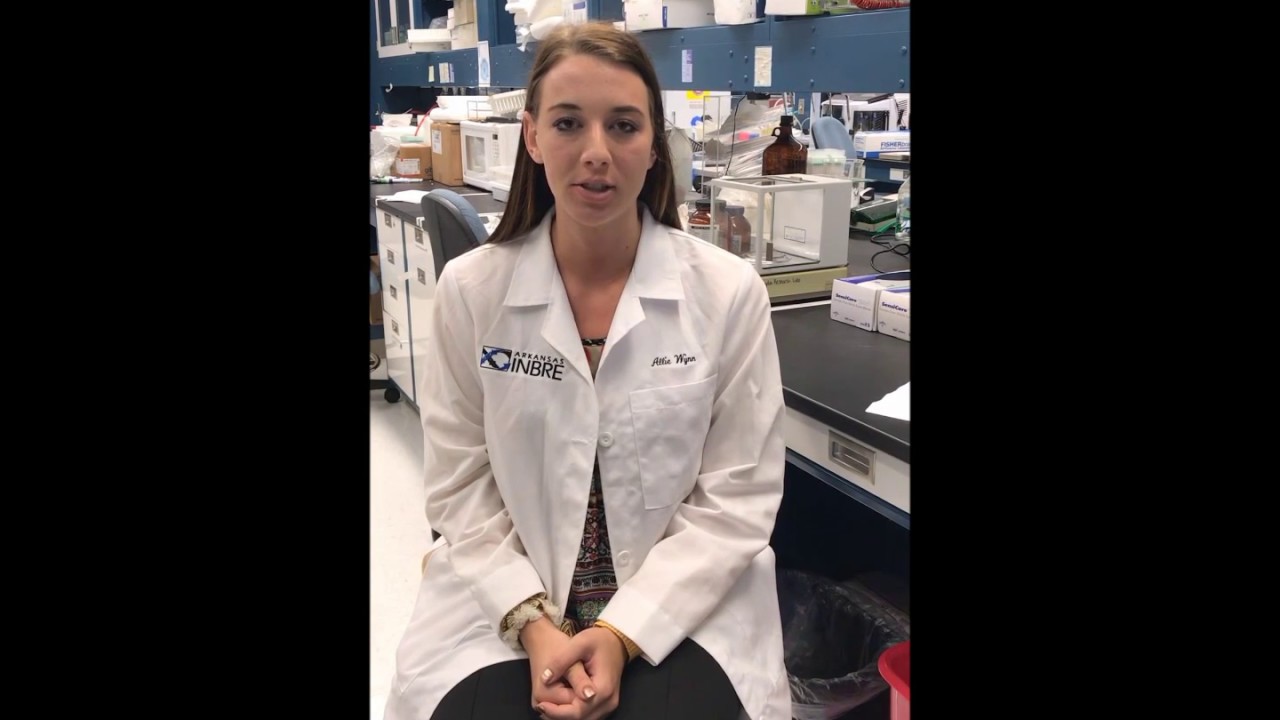 Allie's research investigated the neonatal diet on the gut microbiome ...