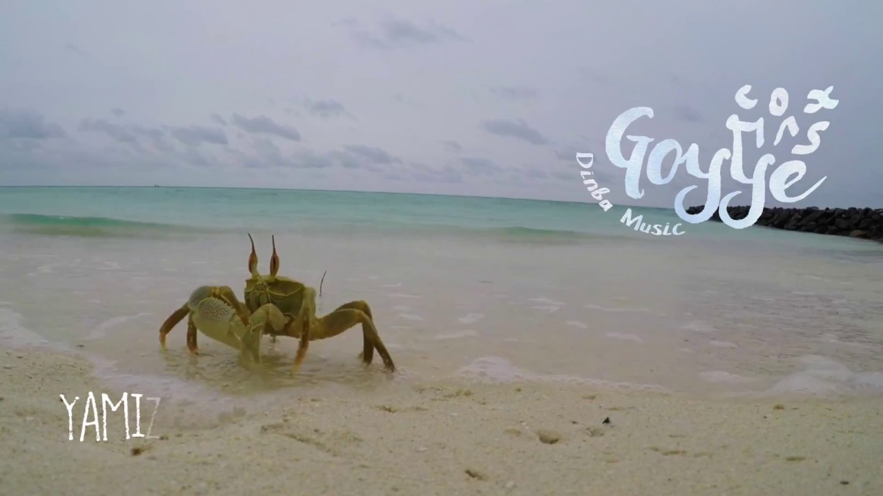 Goyye - Dinba Music album Trailer - YouTube