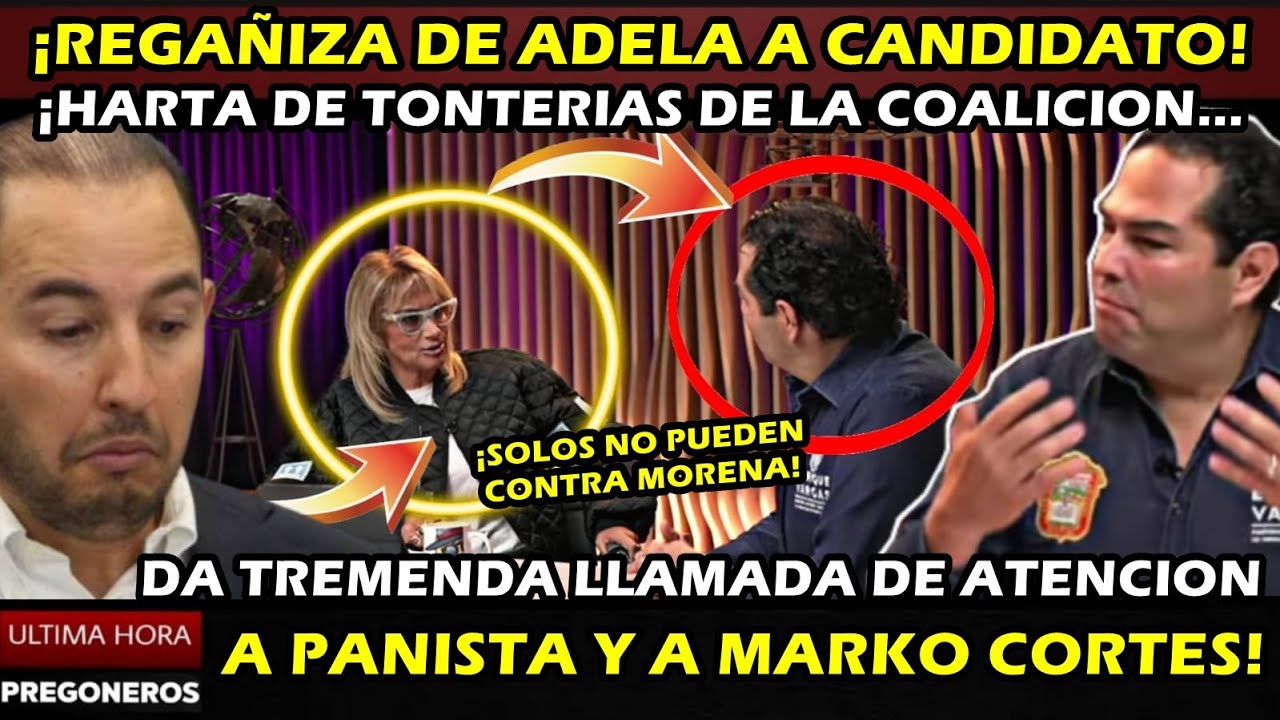 ¡REGAÑIZA A CANDIDATO DEL PAN! ¡ADELA MICHA REVIENTA HARTA DE LA ...