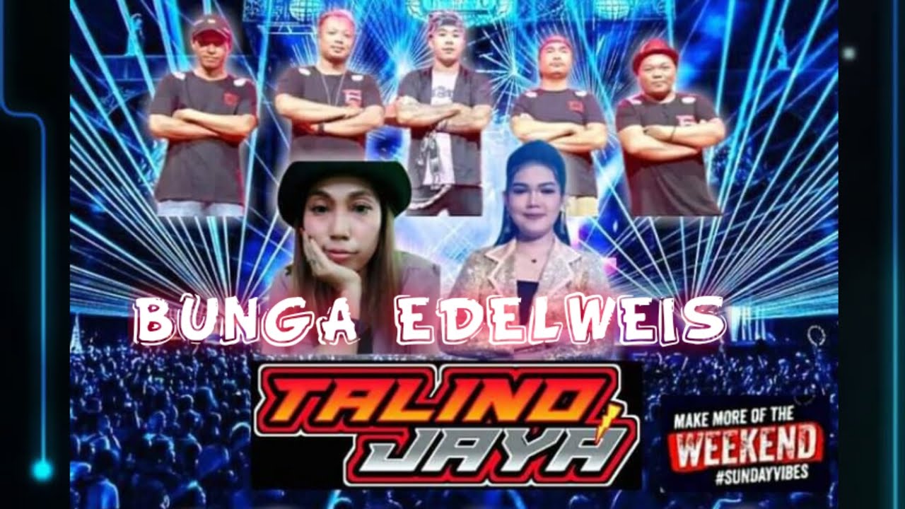 ‼️BUNGA EDELWEIS ‼️ TALINO JAYA BAND ‼️ - YouTube