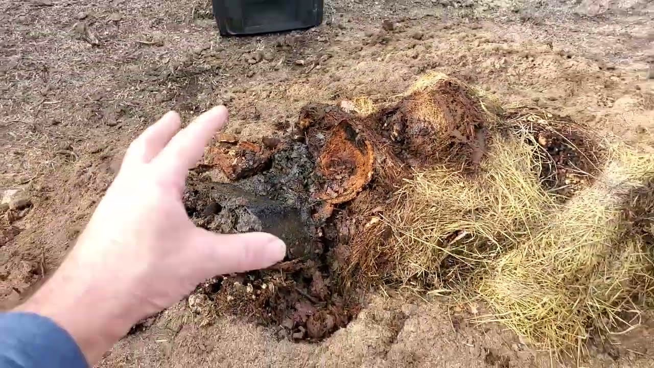 Making Compost Soil: Mixing Kitchen Scraps Into Large Manure Compost ...