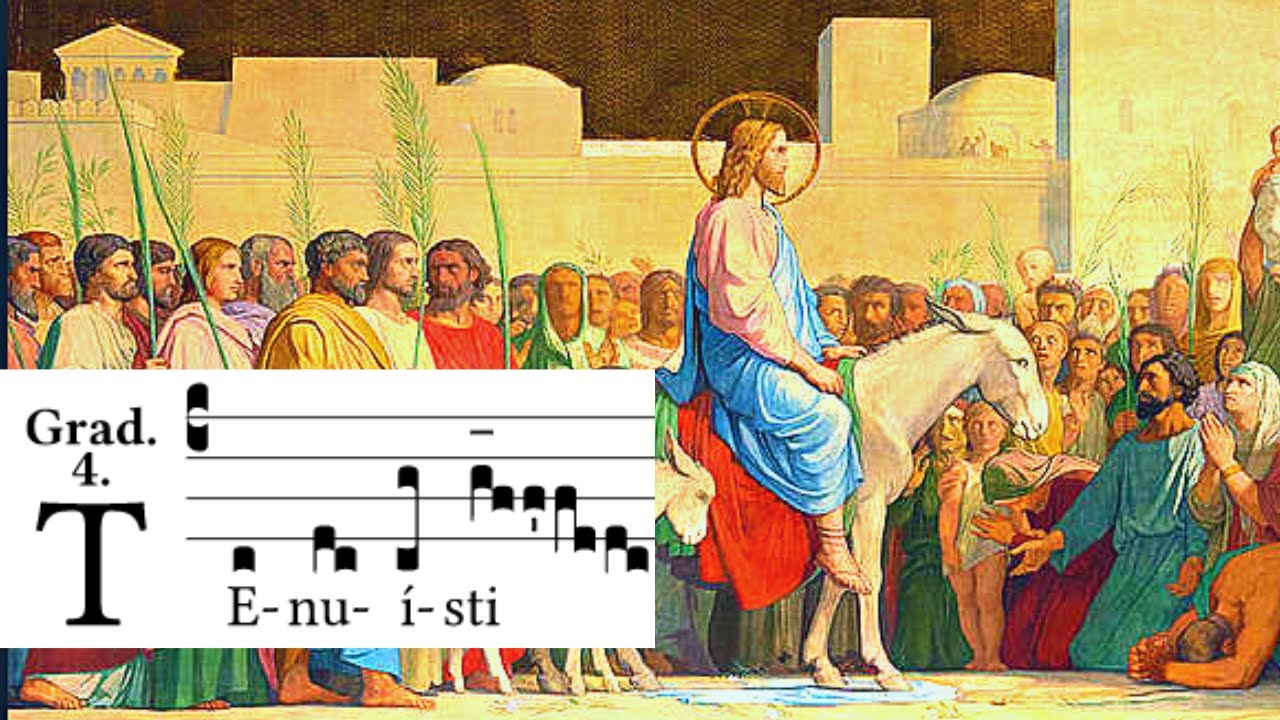 Palm Sunday Latin Mass - Gradual - Tenuisti manum - YouTube