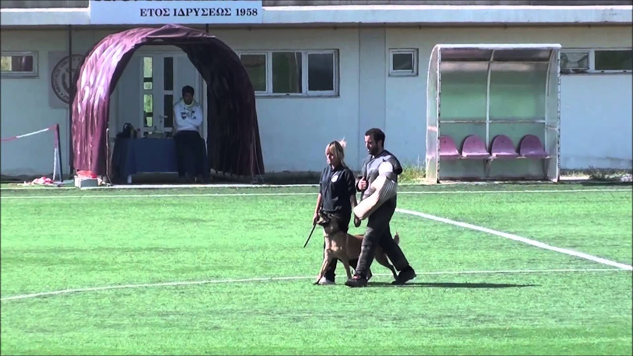 veranis k9 center - YouTube