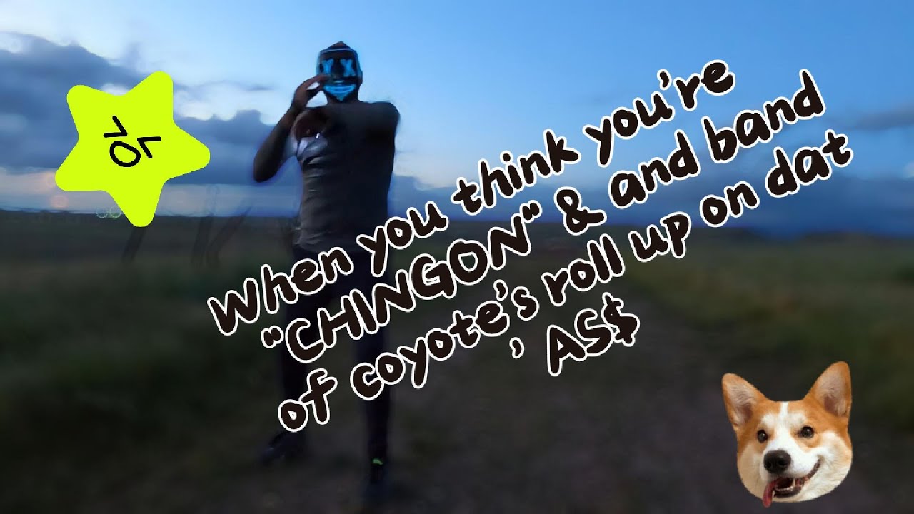 #shortz; When you think you're "CHINGON" and a band of coyote's roll up ...