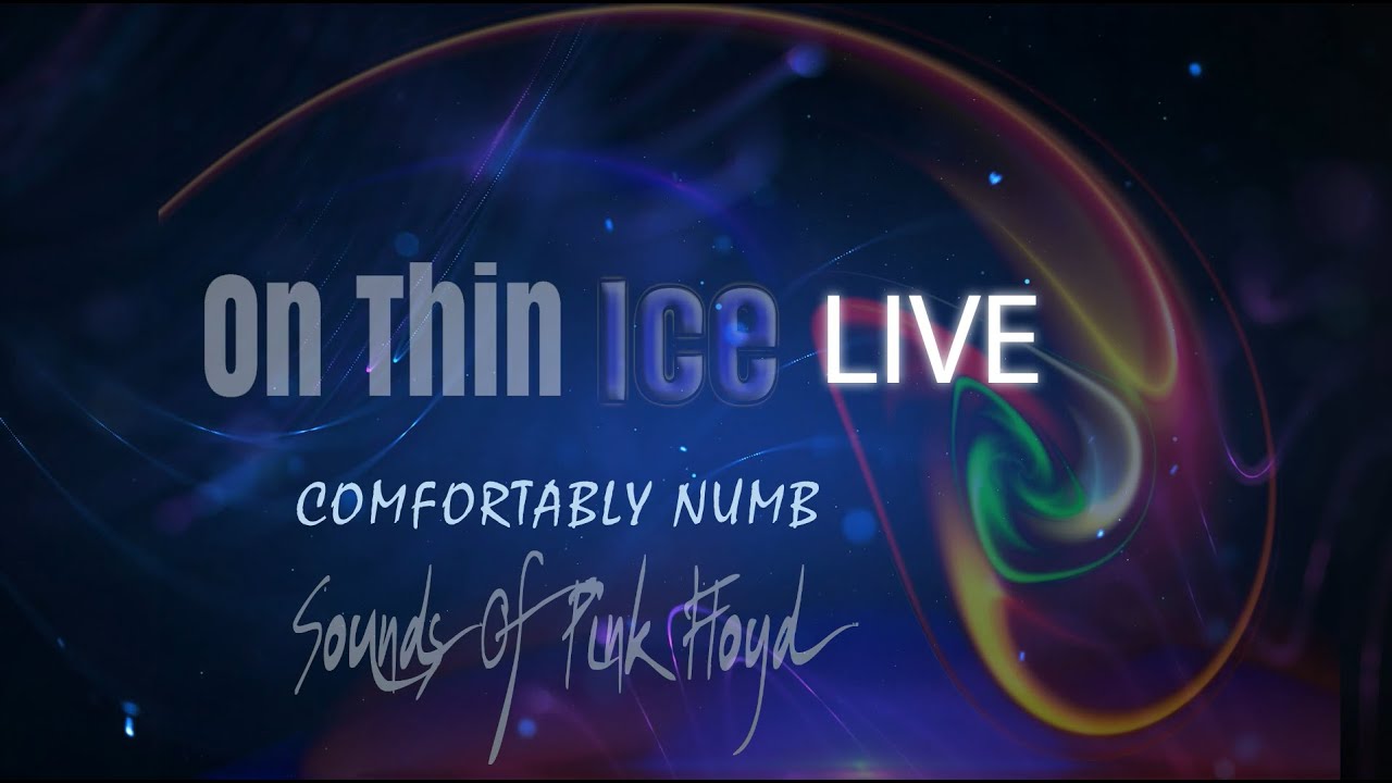 On Thin Ice - Comfortably Numb Live_Guitar Solo - YouTube