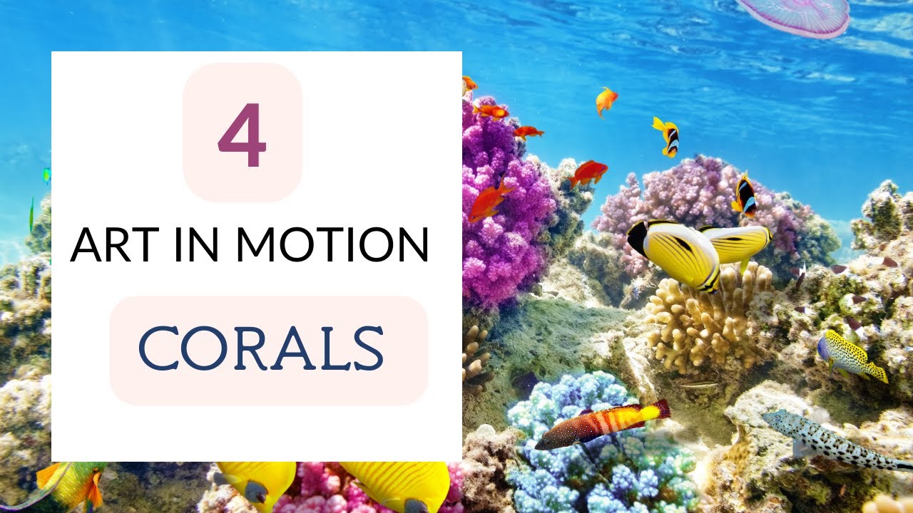 Art in Motion|Kostello's Art Paintings |Corals|Use your Imagination|Art ...
