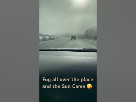So much Fog and Sun came out - YouTube