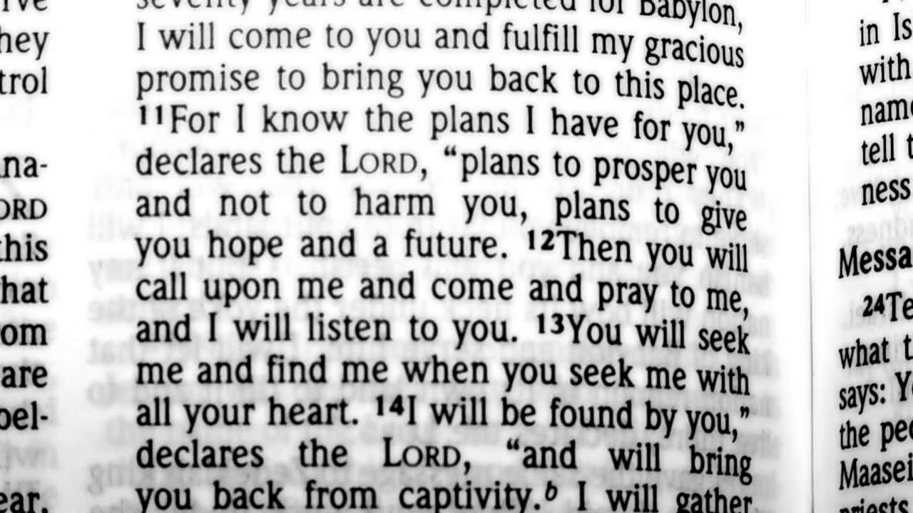 THE ALMOND TREE- Available Now! - YouTube