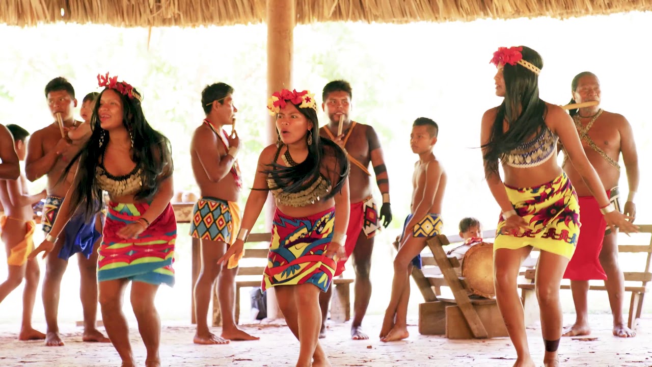 women of tribe performing a traditional dance/Copyright free videos ...