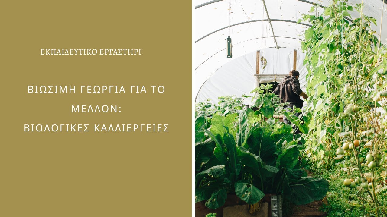 ΕΚΠΑΙΔΕΥΤΙΚΟ ΕΡΓΑΣΤΗΡΙ - ΒΙΩΣΙΜΗ ΓΕΩΡΓΙΑ ΓΙΑ ΤΟ ΜΕΛΛΟΝ: ΒΙΟΛΟΓΙΚΕΣ ...