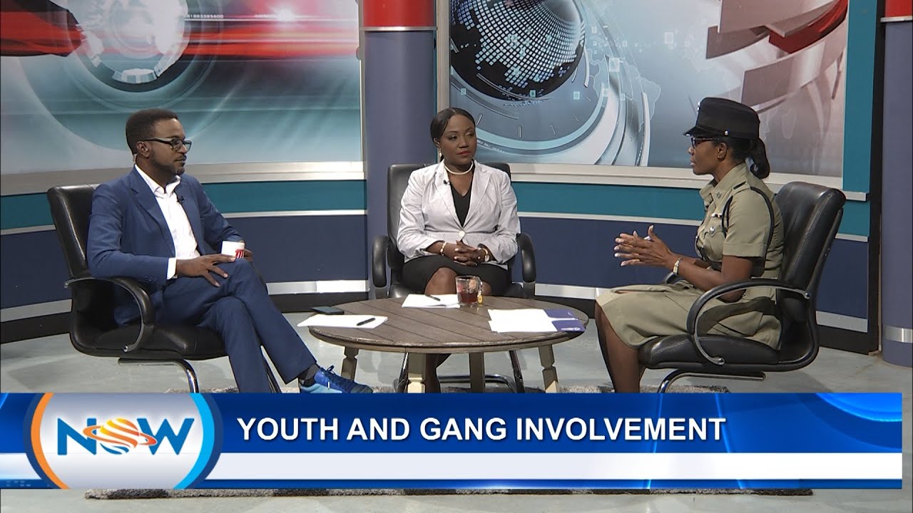Youth and Gang Involvement - Inspector Michelle Lewis - YouTube