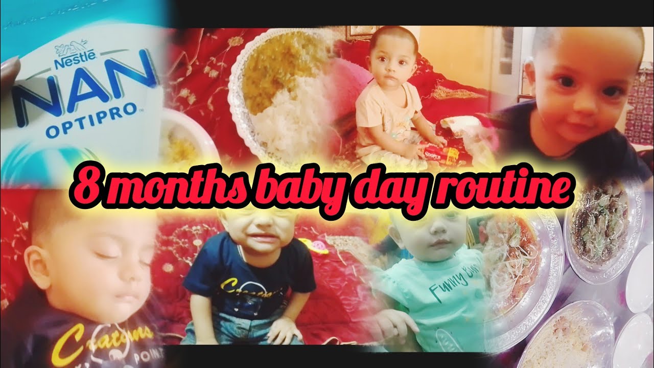8 Months baby day routine |What my 8 months baby eats in a day |daily ...
