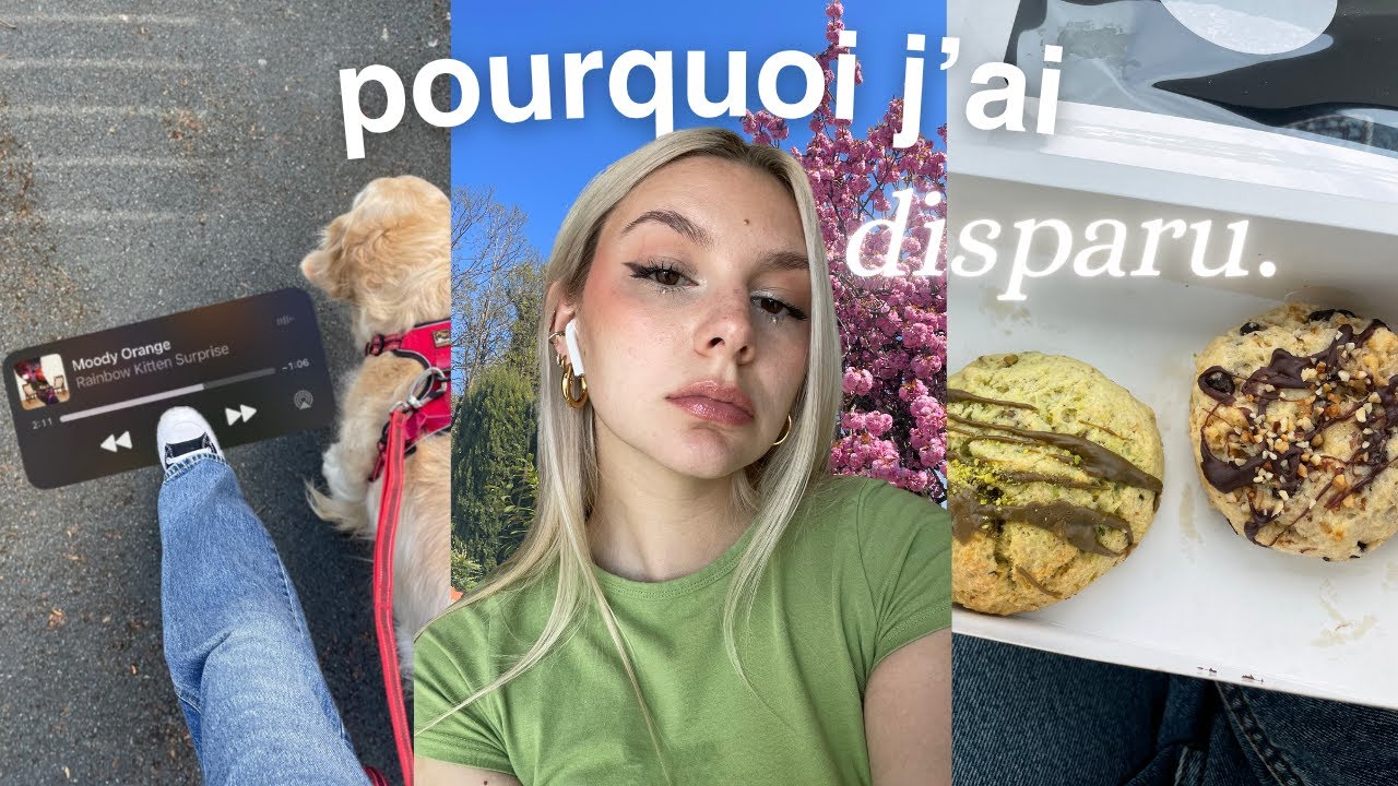 POURQUOI J'AI DISPARU - YouTube