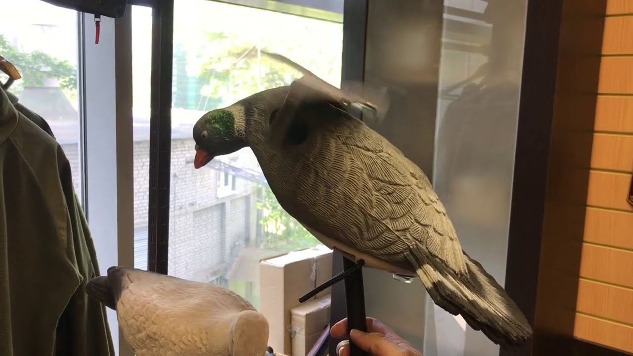Чучело для охоты Lucky HD Wood Pigeon Flapper - новинка 2020 года - YouTube