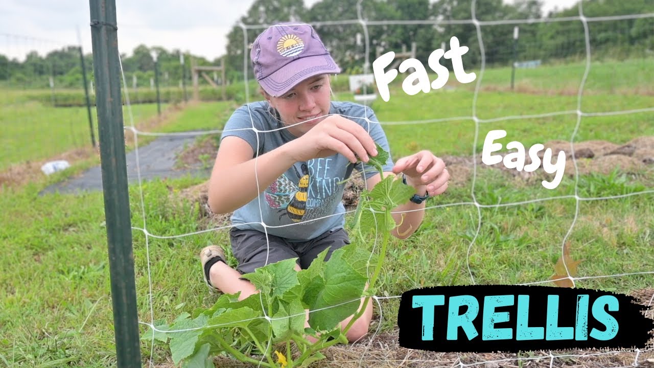 How to Build a Simple Garden Trellis - YouTube