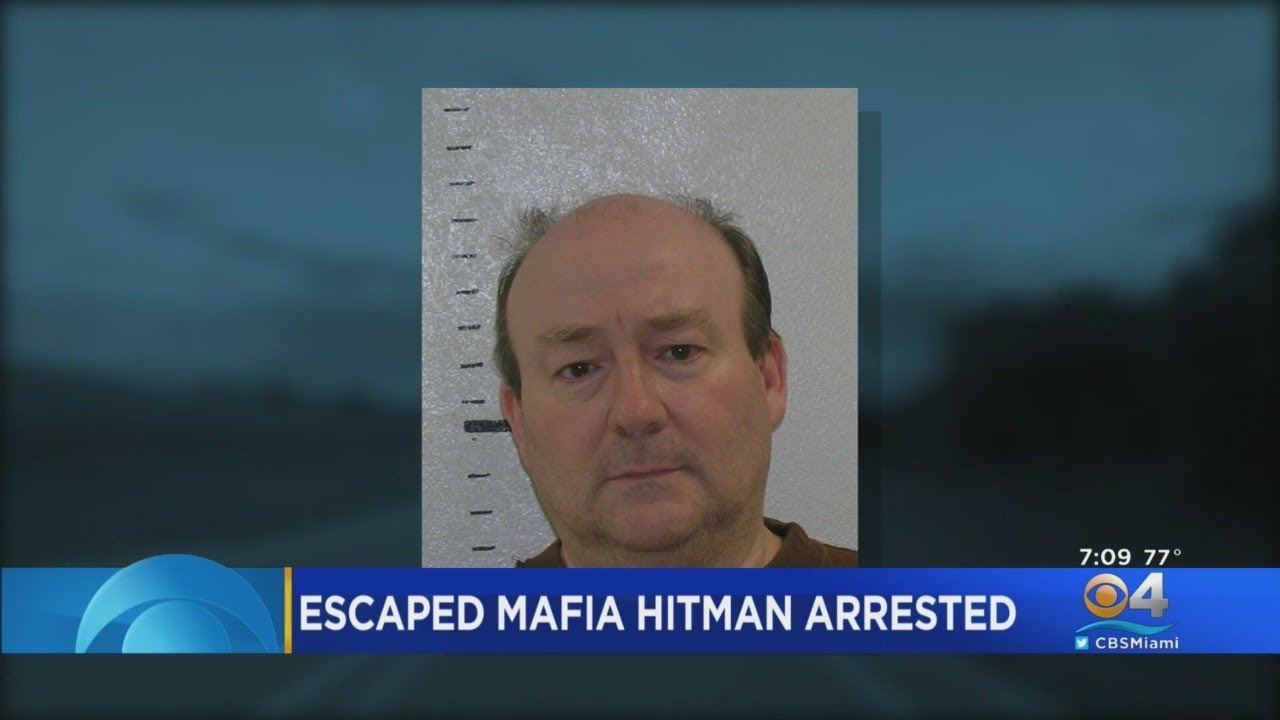 Mob Hitman Dominic Taddeo Captured In Hialeah - YouTube