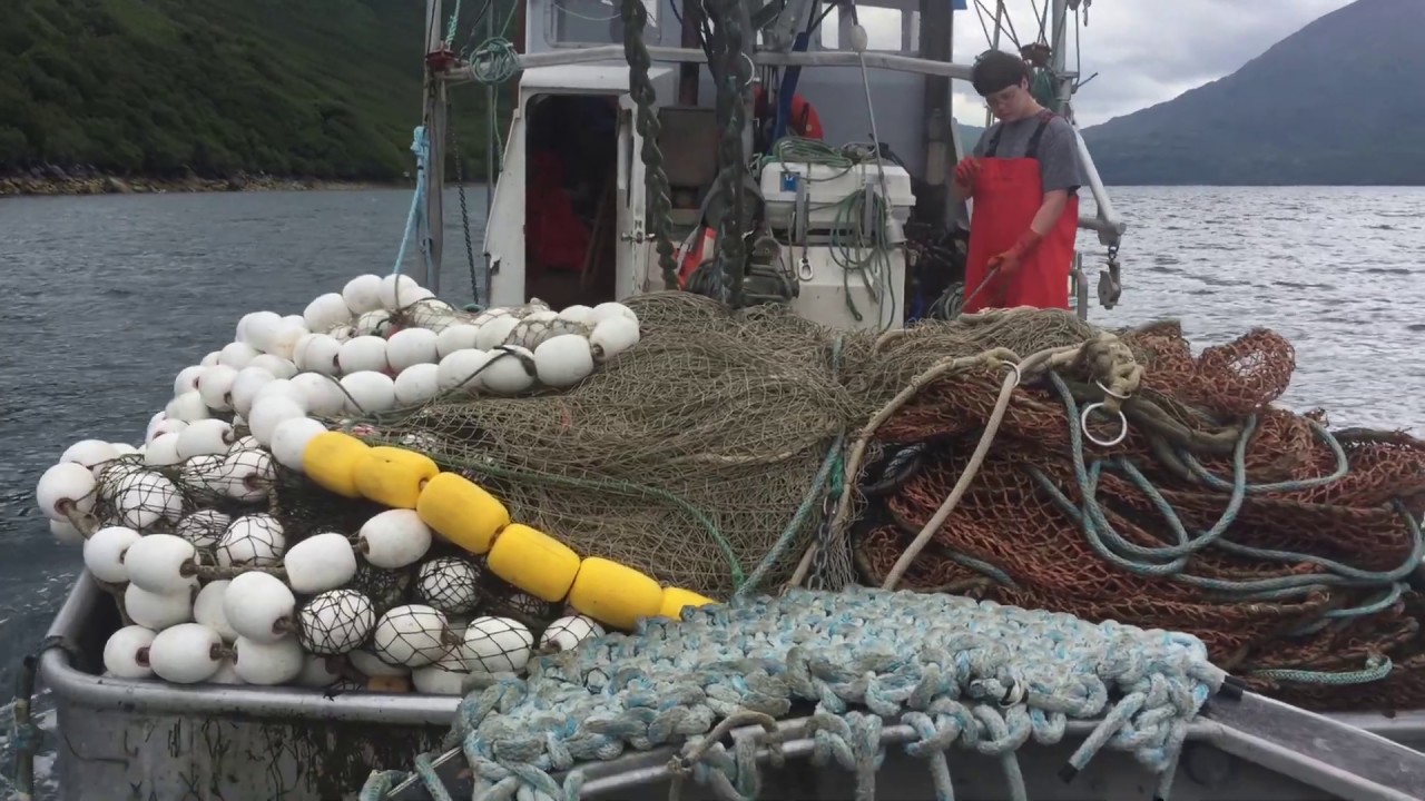 How It's Done: Salmon Seining Setting The Net - YouTube