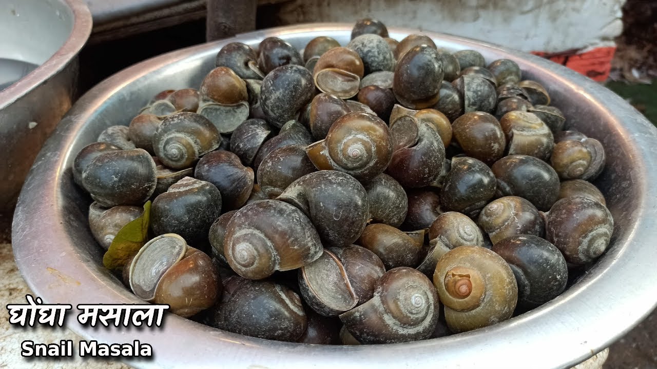 घोंघा मसाला फ्राई | Snail cleaning and cooking @ChefAshishKumar - YouTube