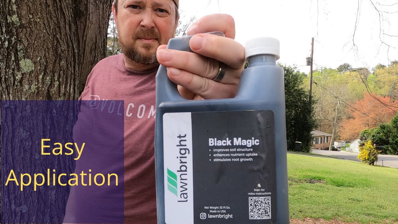 How To Condition Lawn Soil with Black Magic from Lawnbright Sunday Lawn ...