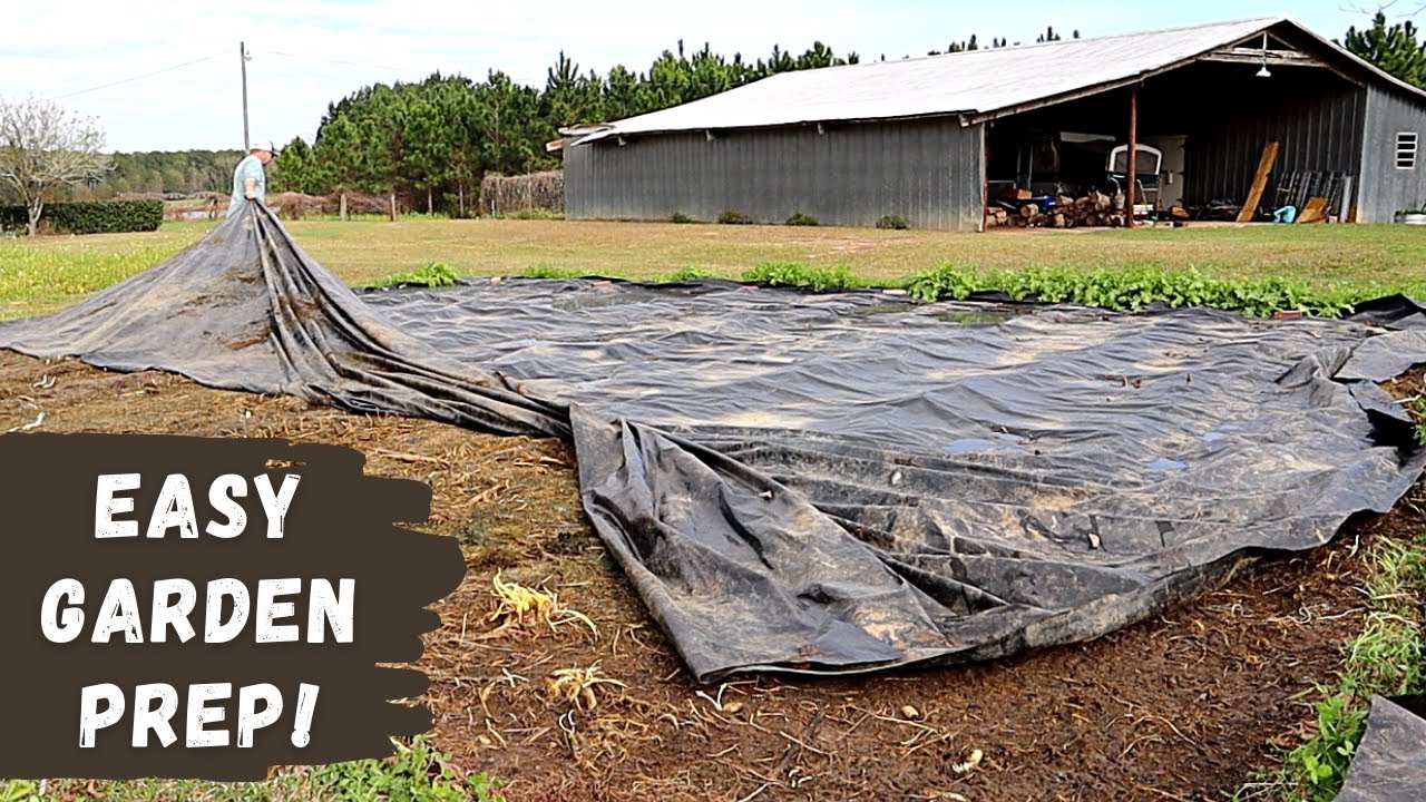 This Worked Like a Charm! | Quick Backyard Garden Prep! - YouTube