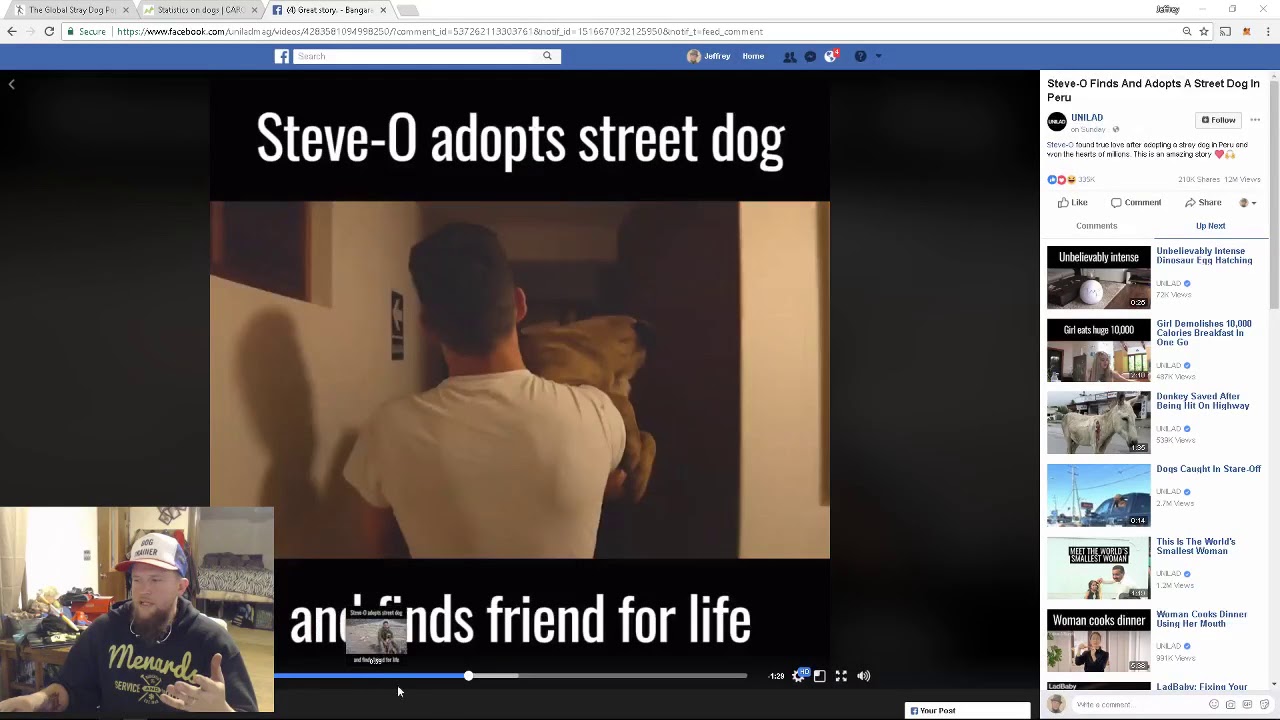Reacting to Steve-o"s video finding a dog in Peru - YouTube