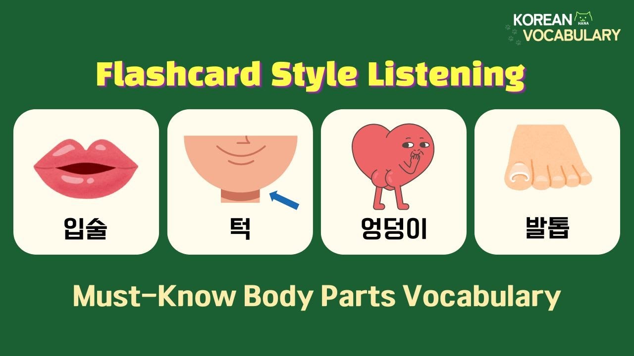 [Korean Words] How to say body parts in Korean? | Flashcard for ...