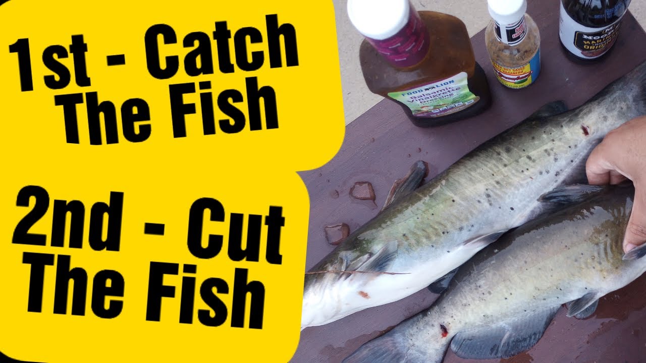"How to fillet a Catfish" Catch & Clean Catfish 🎣 🐟 - YouTube