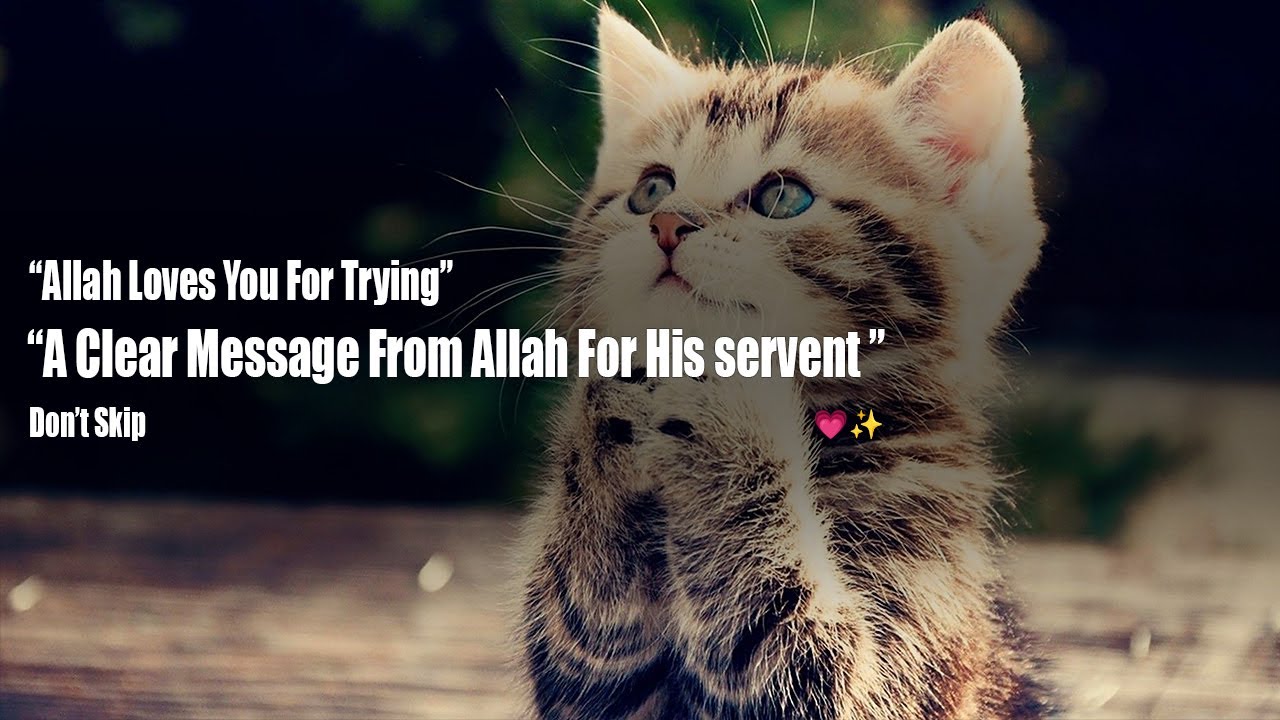 A "Clear Message From Allah" Your Sign 💗🌷 - YouTube