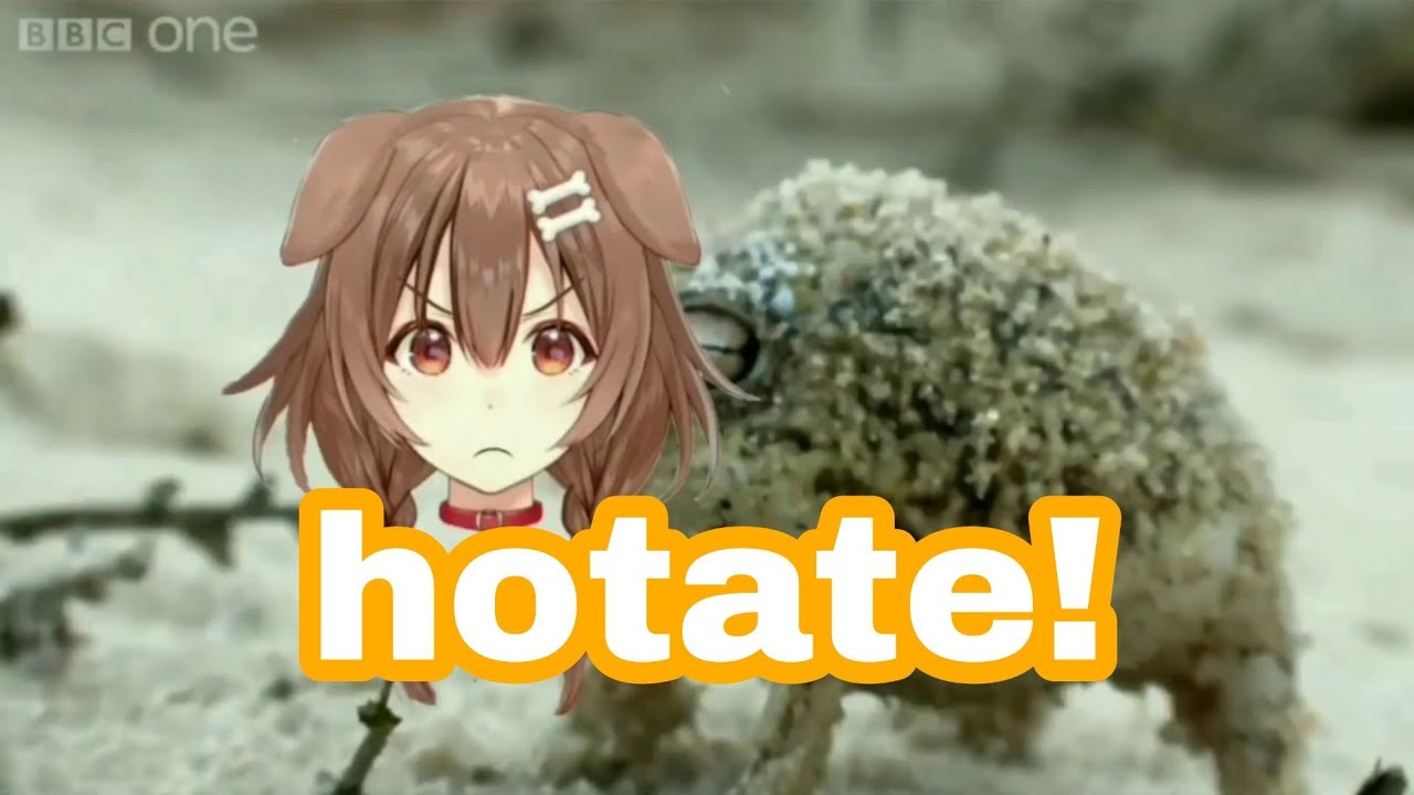 HOLOLIVE - Angry squeeking Dog (korone meme) - YouTube