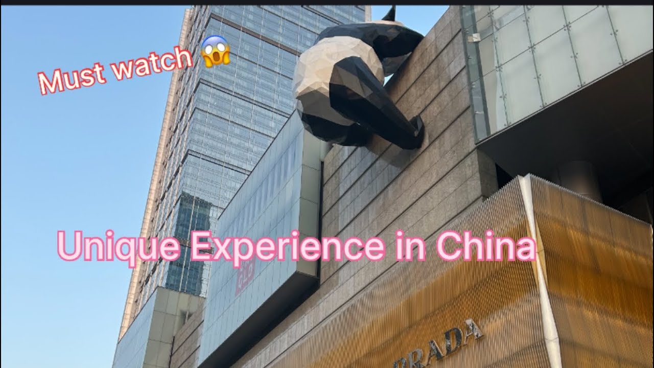 Amazing Unique experience of China | visit to Sichuan Chengdu Panda ...
