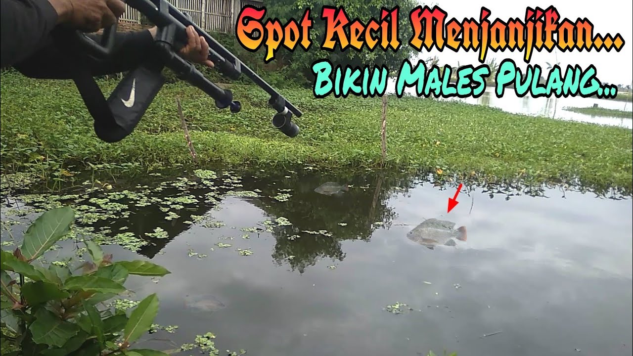 Spot Kecil Menjanjikan, Selalu Poin/Strike | Senapan Ikan Paser Paralon ...