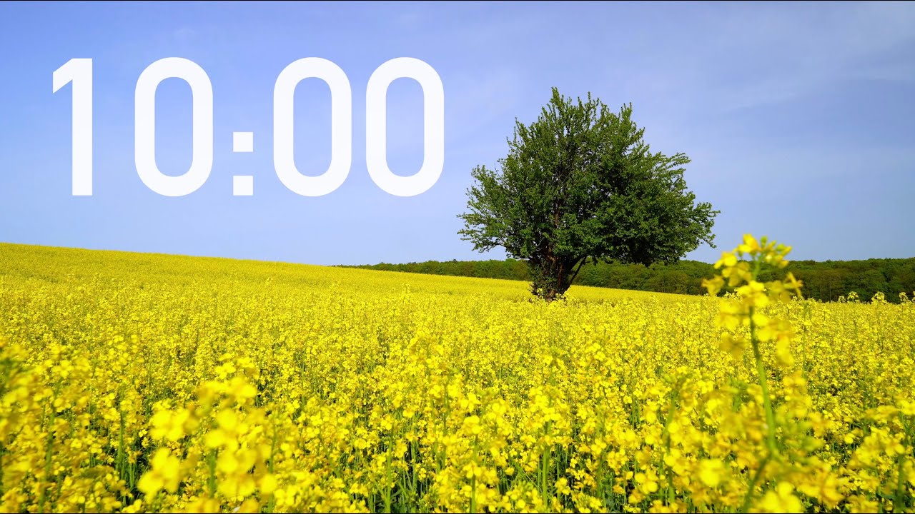 10 Minute Timer 🌼 Yellow Rapeseed Field 🎵 with Ambient Calm Music (4K ...