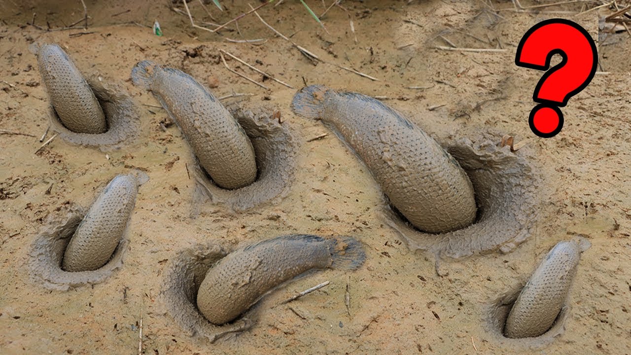 7 Cosas Extrañas Que Veras POR PRIMERA VEZ en la vida - YouTube