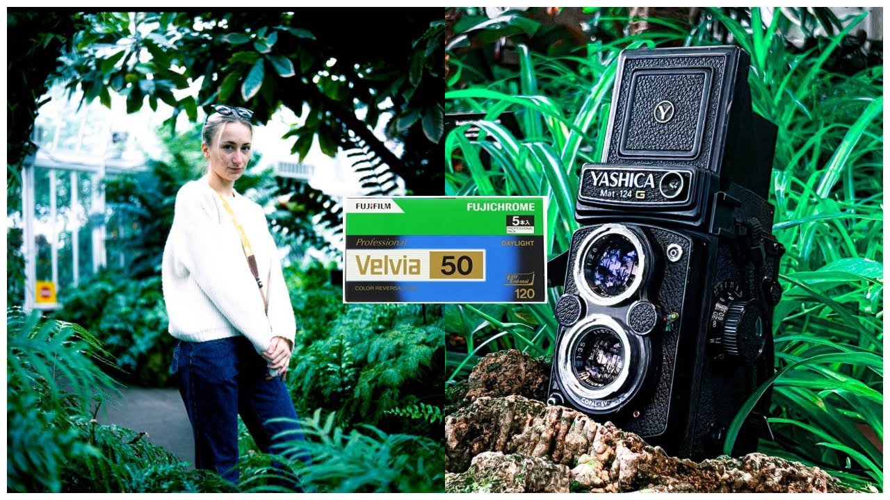 Shooting slide film at a botanical garden - YouTube