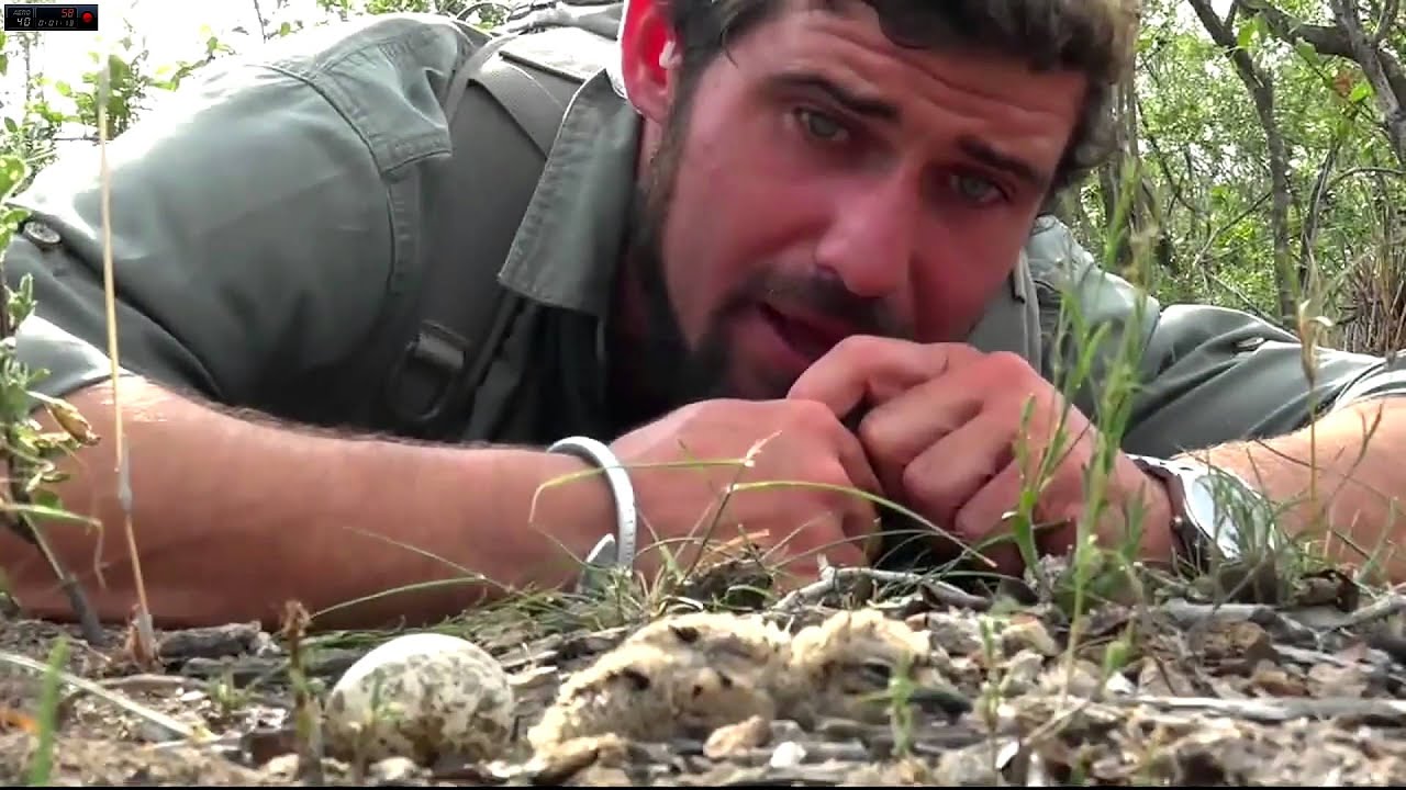 Scott Dyson From SafariLive - YouTube
