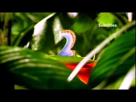 BBC2 50th Idents (1991-2001) - 6 August, 2014 - YouTube