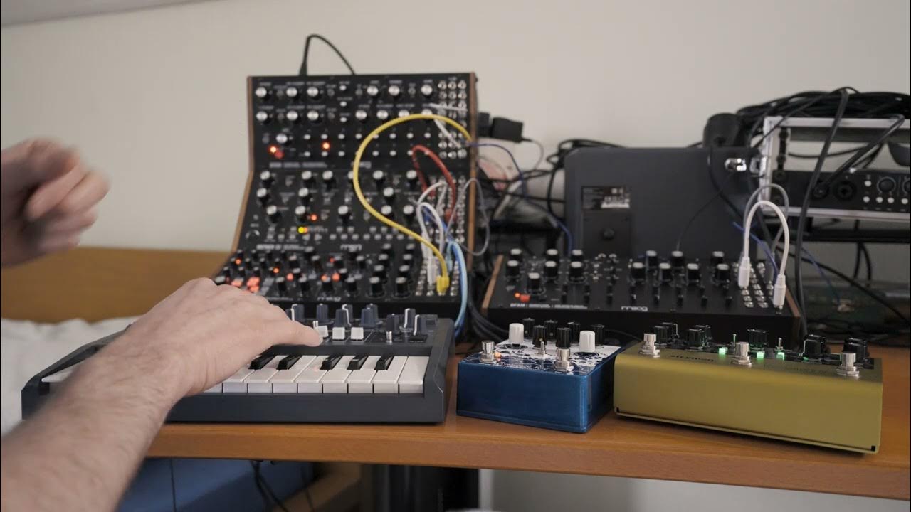 Transposed Sequences - Moog Sound Studio and DFAM - YouTube