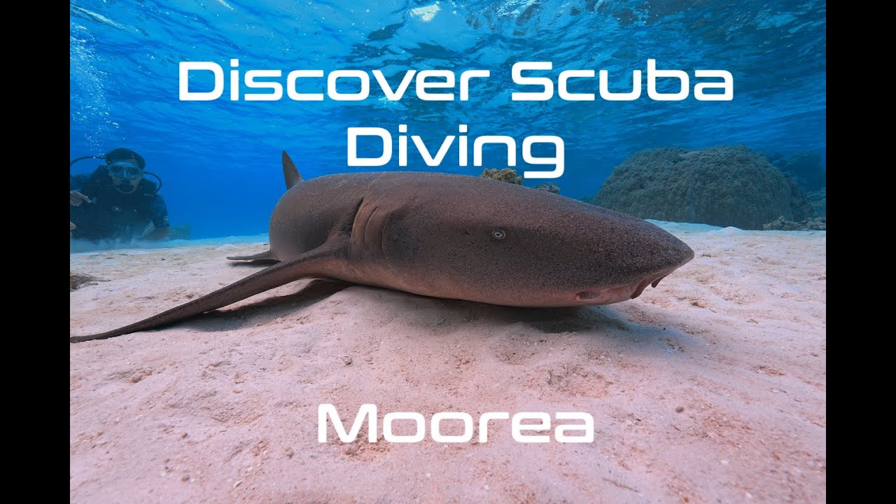 Discover scuba diving - Moorea - YouTube
