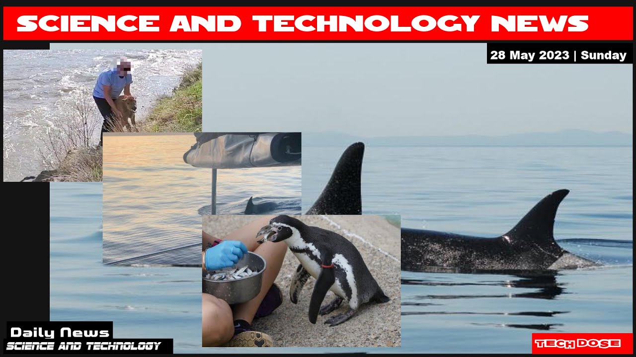 Science And Technology Daily News|28 May 2023 - YouTube