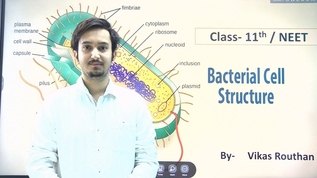 BACTERIAL CELL STRUCTURE | KINGDOM MONERA| CLASS 11th | NEET | Biology ...