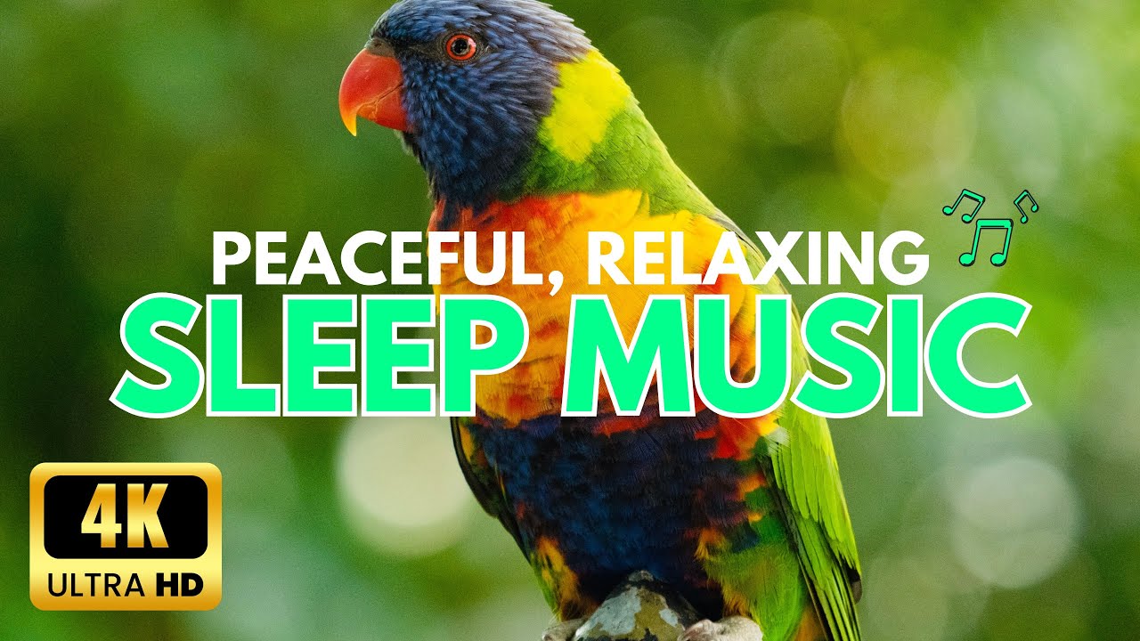 Tranquil Sleep Music for Deep Relaxation | Calm Your Mind & Body - YouTube
