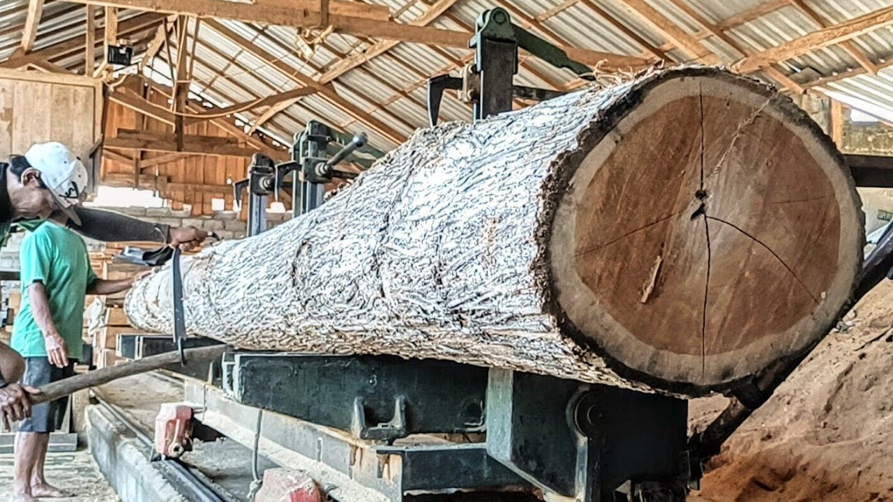 Amazing sawmill action | sawing teak wood - YouTube